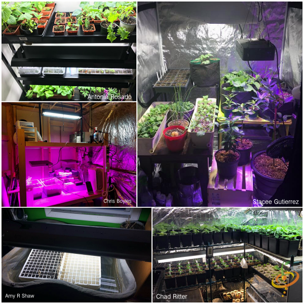Get Inspired! "Indoor Grow Stations" [Customer Image Photo Gallery ...