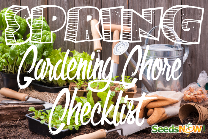 Spring Gardening Checklist 🌱 SeedsNOW.com