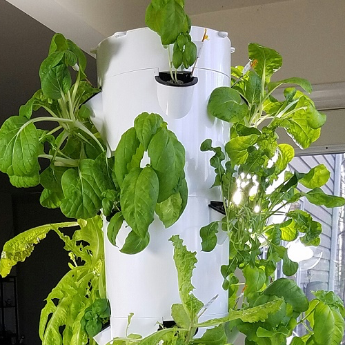 How to Plant a Vertical Tower Garden 🌱 SeedsNOW.com