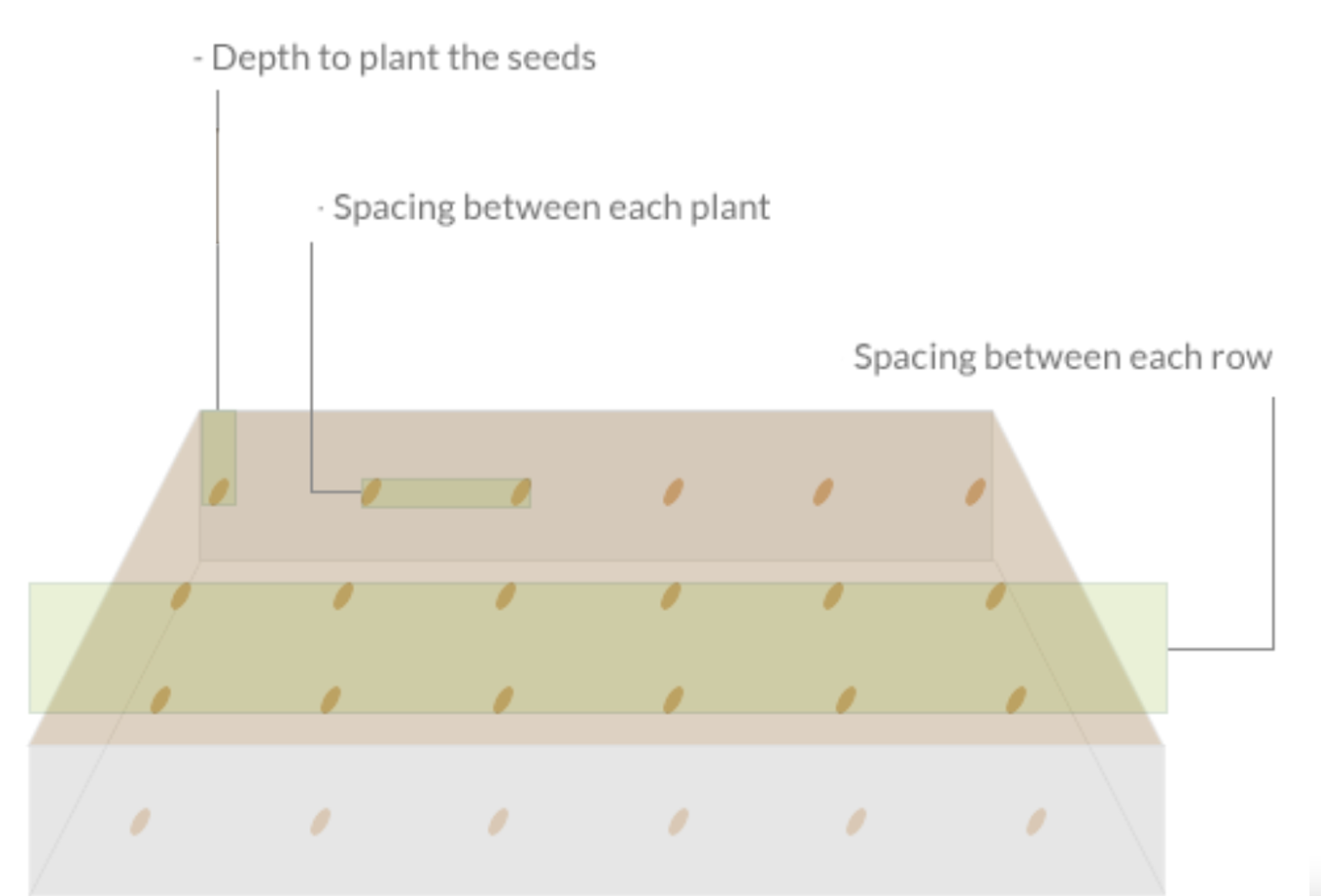Seed Planting & Spacing Guide (printable) 🌱 SeedsNOW.com