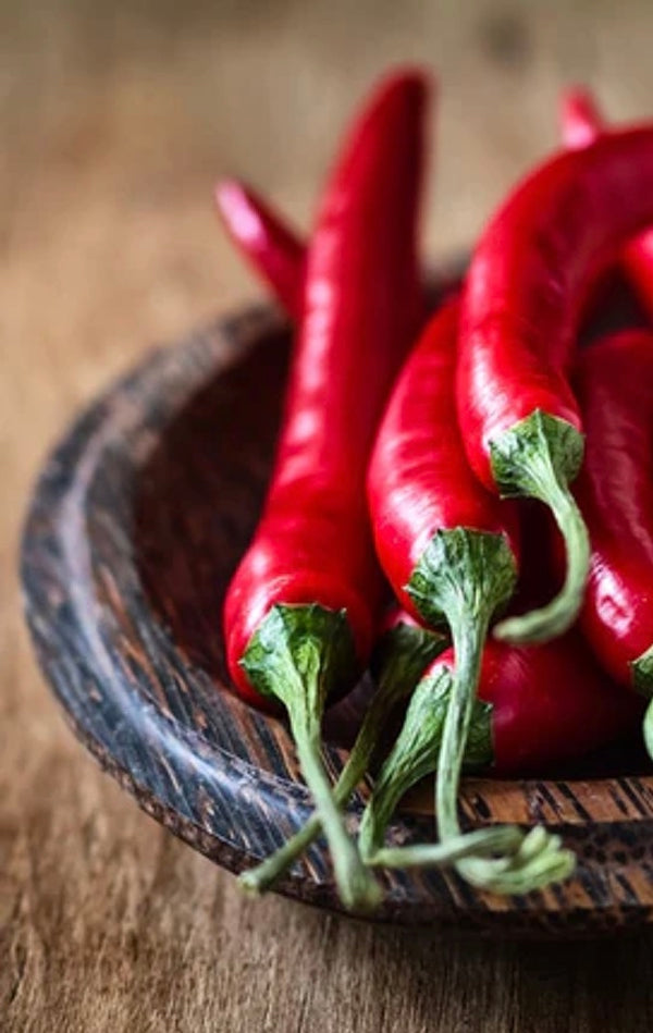 Buy Organic Non-GMO HOT Pepper Seeds Online now! – SeedsNow.com