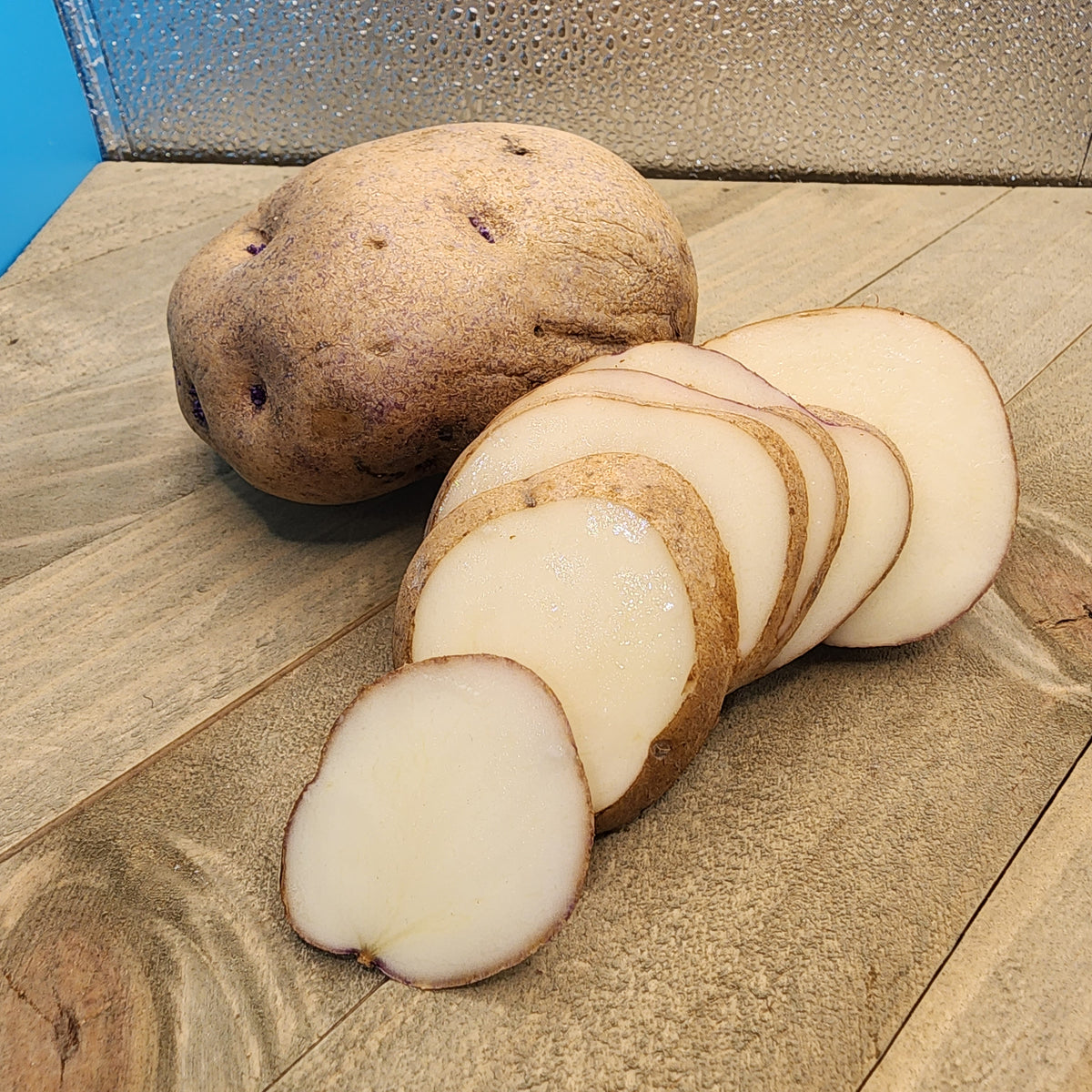 Potato (Early-Season) - Caribe (Organic rounds) *pre-order* – SeedsNow.com