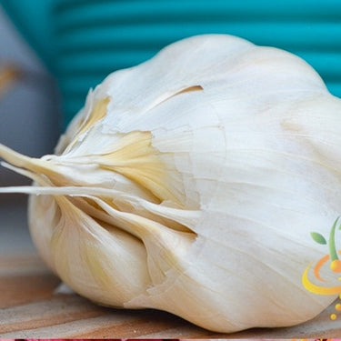 80 Plants You Can Grow with Vertical Towers and Hydroponic Garden Syst ...