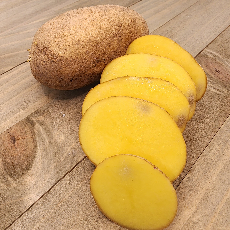 How To Grow German Butterball Potato – JHKQWZ