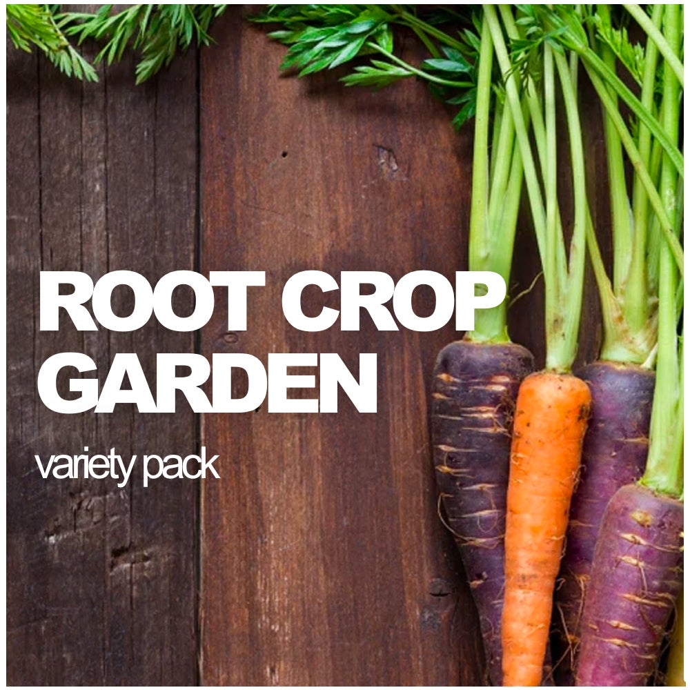 All-in-One Root Crop Garden Variety Pack – SeedsNow.com
