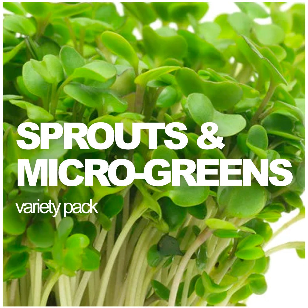 All-in-One Sprouts/Microgreens Variety Pack – SeedsNow.com