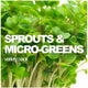 High-quality All-in-One Sprouts/Microgreens Variety Pack seeds from ...
