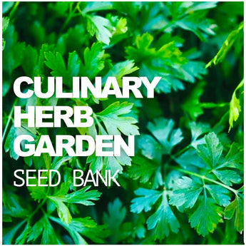 The Seed Shop - Buy High-Quality Organic Non-GMO Heirloom Seeds Online ...