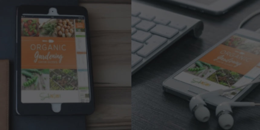 Buy high-quality USA seeds • Organic seeds, non-GMO seeds!