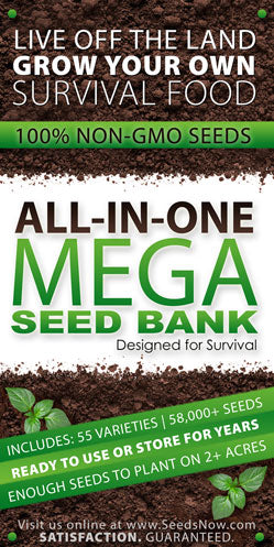 Buy ALL-in-ONE MEGA Seed Bank - Source for organic NON-GMO heirloom ...