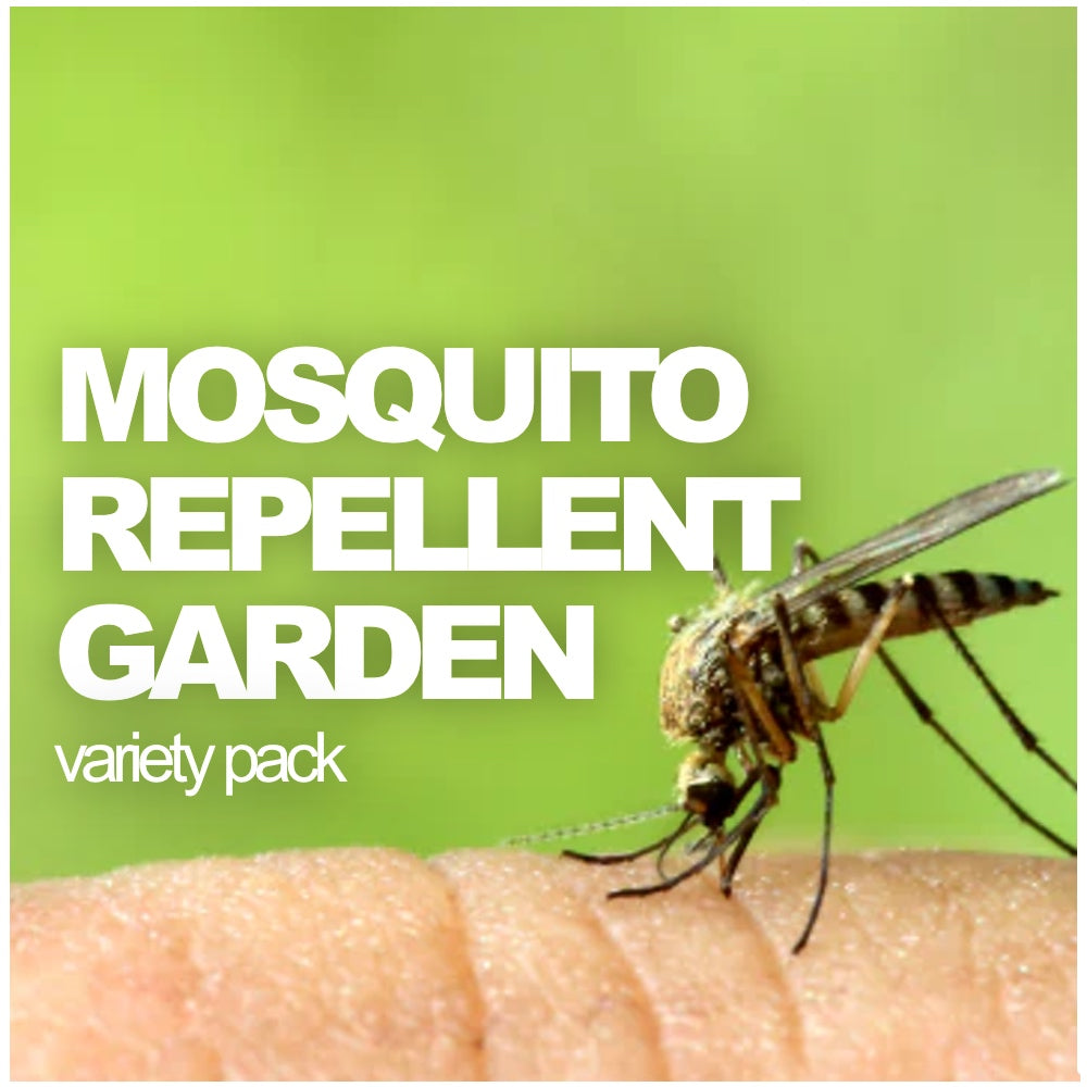 All-in-One Mosquito Repellent Garden Variety Pack – SeedsNow.com