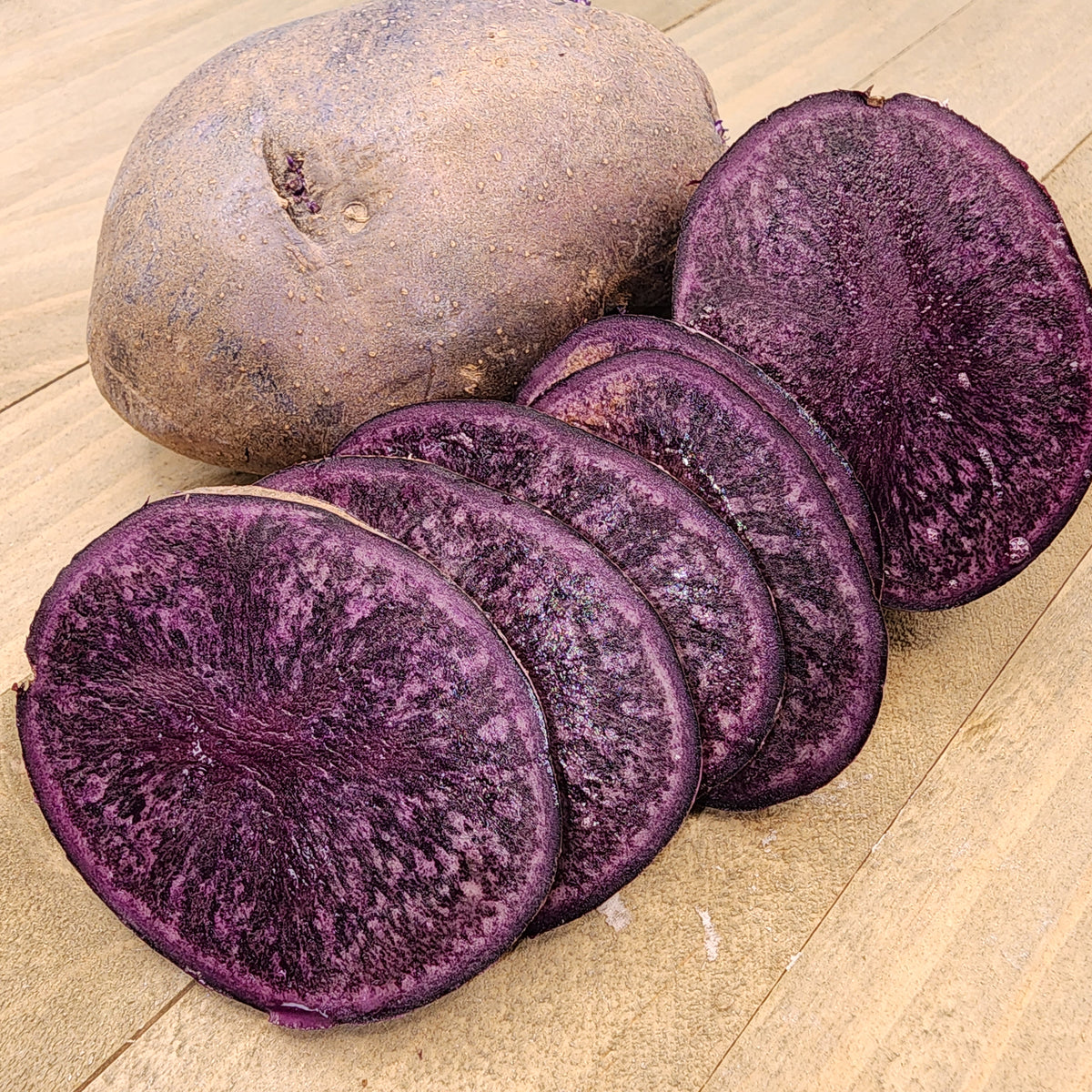 Potato (Mid-Season) - Purple Majesty (Organic rounds) *pre-order ...