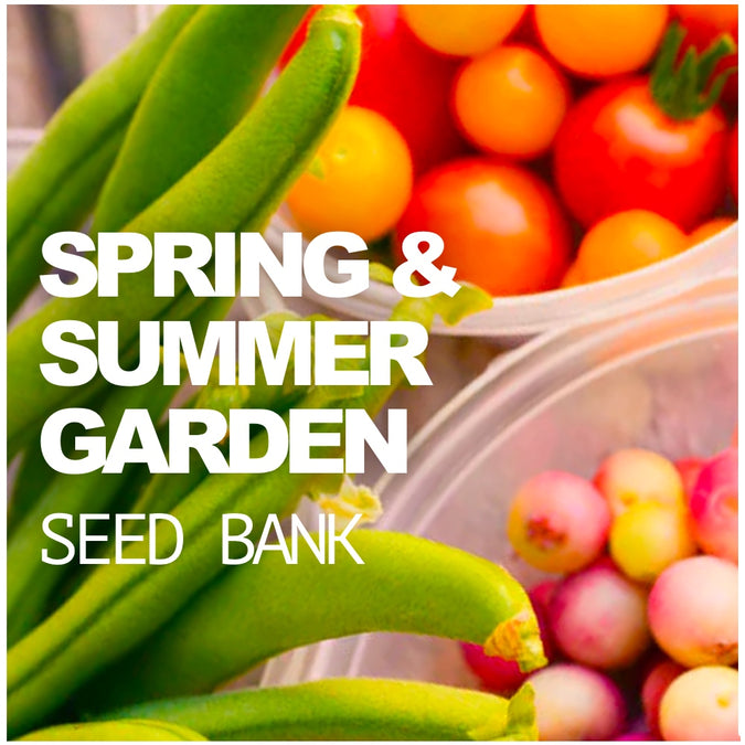 All-in-One Spring/Summer Seed Bank – SeedsNow.com