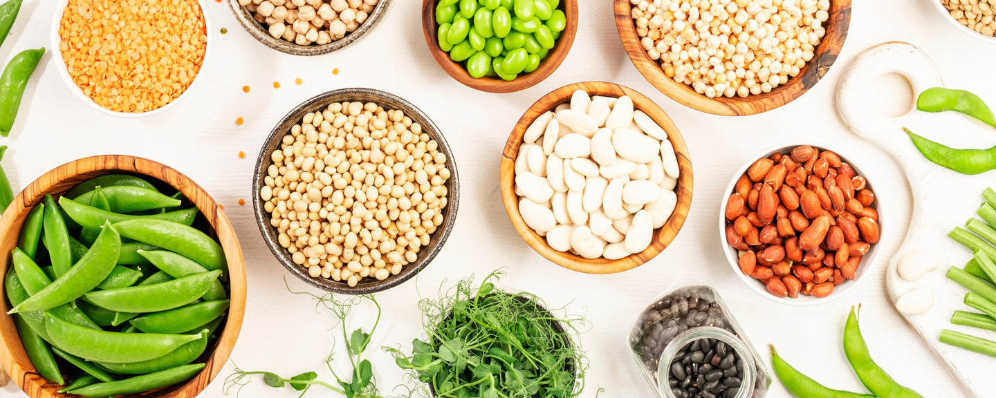 Discover seeds that will grow in specific USDA Hardiness Zones ...