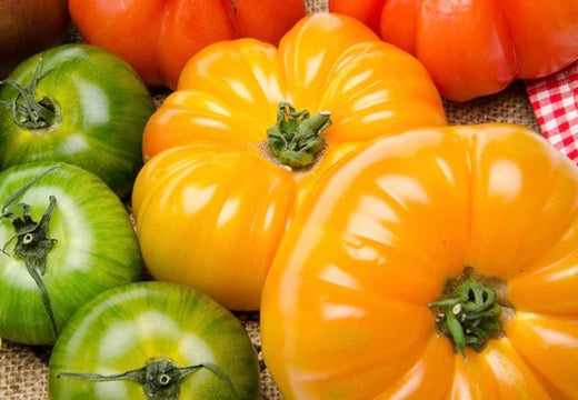 Interactive USDA Grow Zone Map Find Seeds Tool Plant Hardiness ...