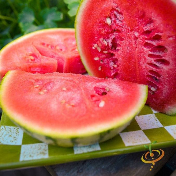 Buy Organic Non-GMO Watermelon Seeds Online Now! – SeedsNow.com