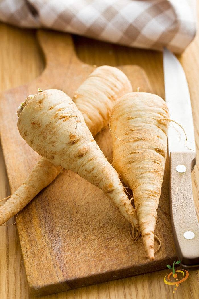 Buy Parsnip - Harris Model! #1 Online USA supplier for organic seeds ...