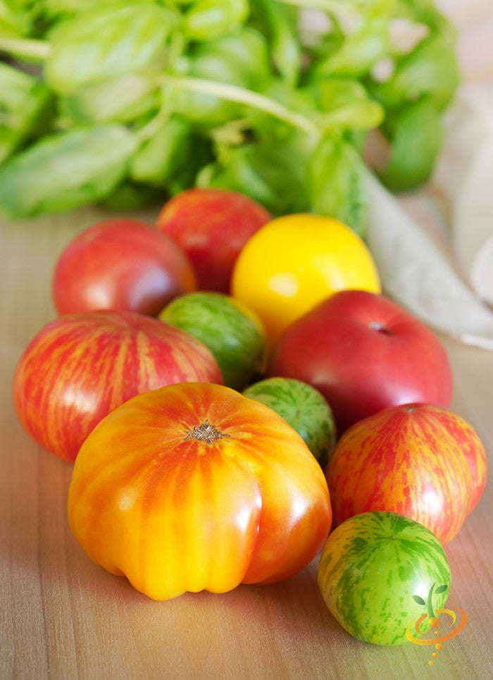 non-GMO Tomato - Heritage Rainbow Mix (Indeterminate) seeds! SeedsNOW.com