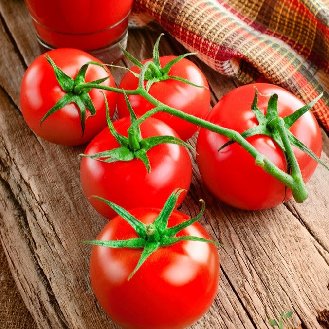 Buy Organic Heirloom non-GMO Tomato Seeds Online Now! – SeedsNow.com