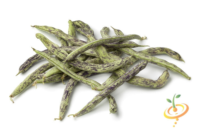 Shop Bean, Pole - Rattlesnake NOW! - Buy organic non-gmo heirloom seeds 🌱 SeedsNOW.com