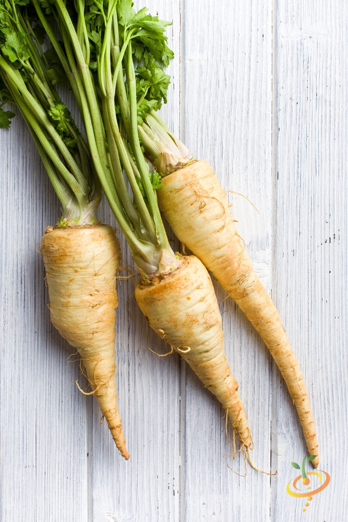 Buy Parsnip - Harris Model! #1 Online USA supplier for organic seeds ...