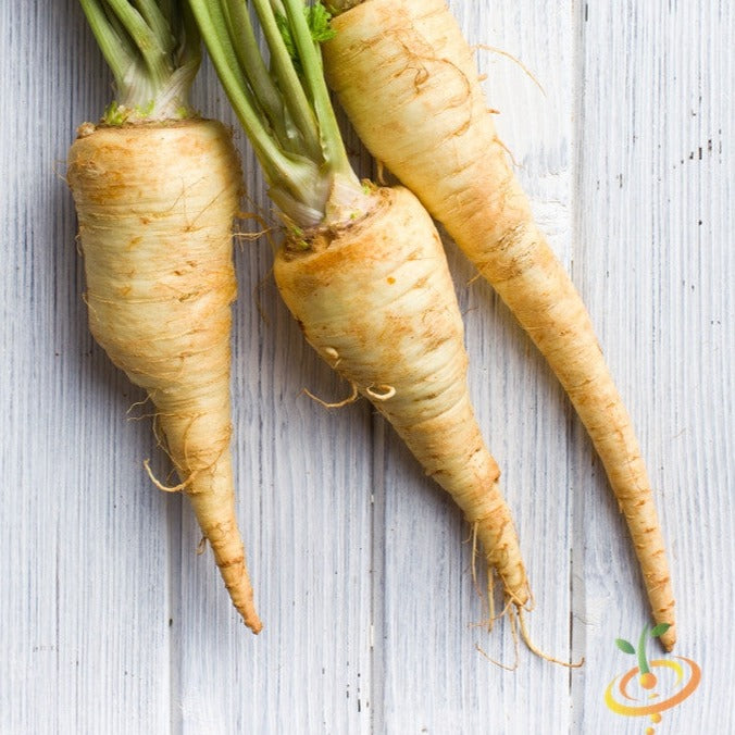 Buy Parsnip - Harris Model! #1 Online USA supplier for organic seeds ...