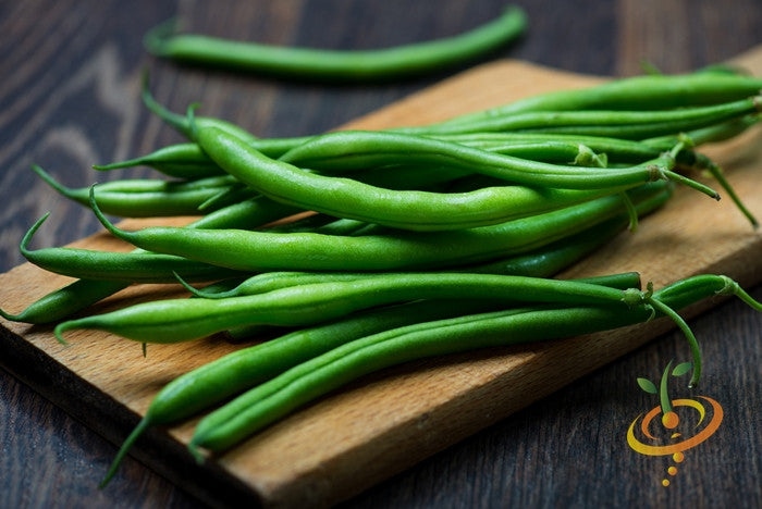 Buy Bean, Bush - Landreth - Source for organic NON-GMO heirloom seeds ...