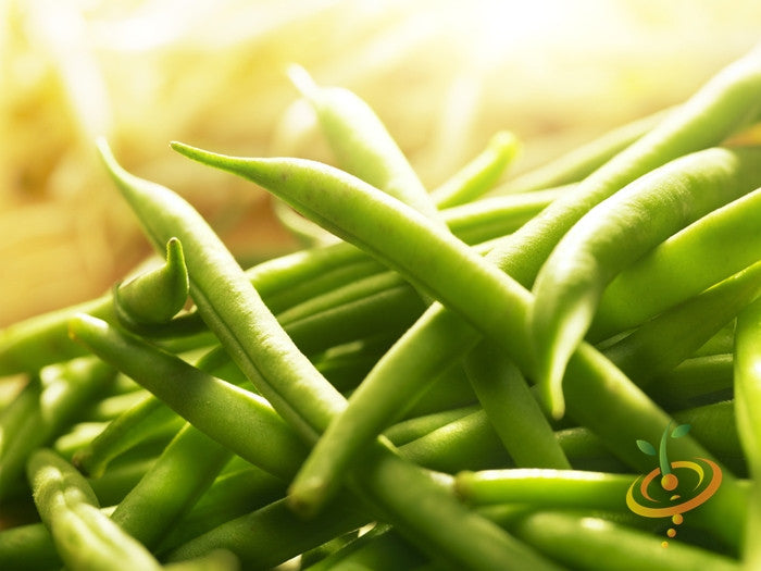 Buy Bean, Bush - Landreth - Source for organic NON-GMO heirloom seeds ...