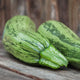 Squash (Summer) - Cocozelle – SeedsNow.com