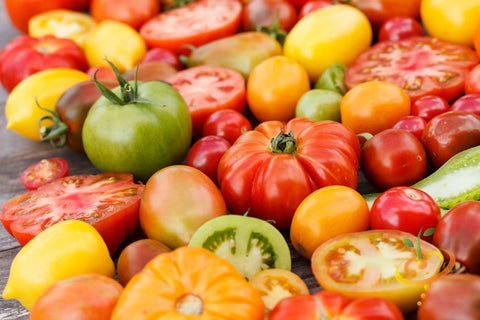 Tomato - Heritage Rainbow Mix (Indeterminate) seeds – SeedsNow.com