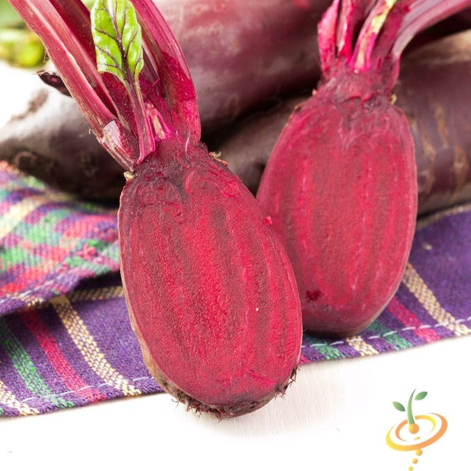 Order non-GMO Beet Seeds Online - SeedsNow.com