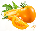 Tomato - Golden Sunray (Indeterminate) | Order Heirloom Organic ...