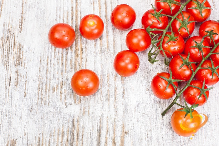 Tomato - Tiny Tim (Determinate) – SeedsNow.com