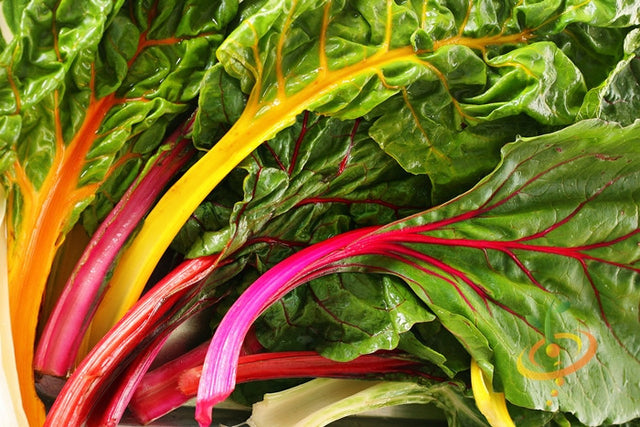 Buy Swiss Chard - Canary Yellow seeds(NON-GMO) online Shop Organic ...