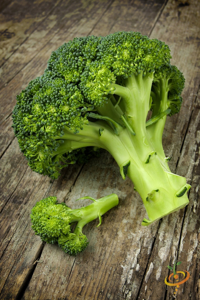 Buy Broccoli - Di Cicco seeds(NON-GMO) online Shop Organic heirloom ...