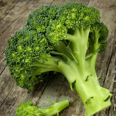 Order non-GMO Broccoli Seeds Online - SeedsNow.com