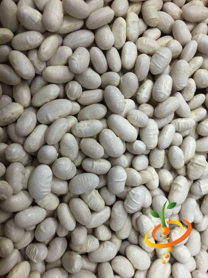 Bean, Pole - Romano seeds – SeedsNow.com