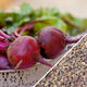 Buy Beet - Boltardy seeds(NON-GMO) online Shop Organic heirloom seeds ...