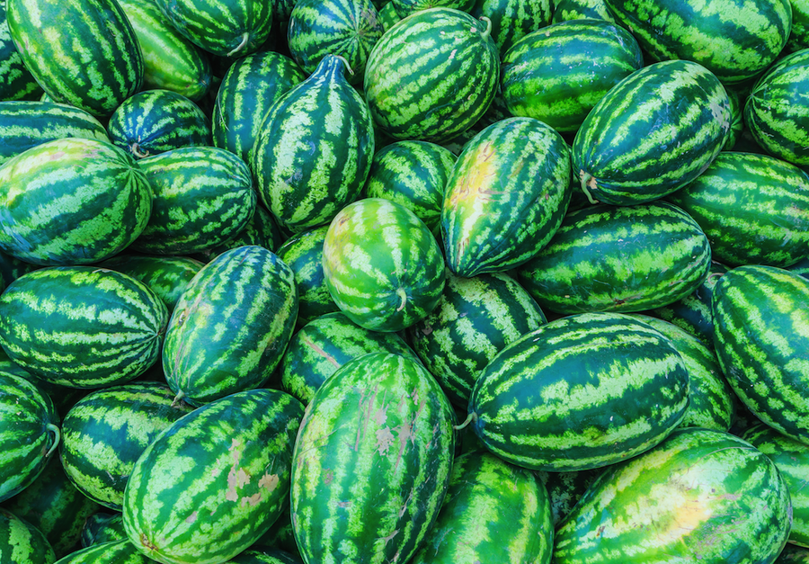 Buy Watermelon - Congo seeds(NON-GMO) online Shop Organic heirloom ...
