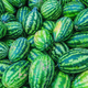 Buy Watermelon - Congo seeds(NON-GMO) online Shop Organic heirloom ...