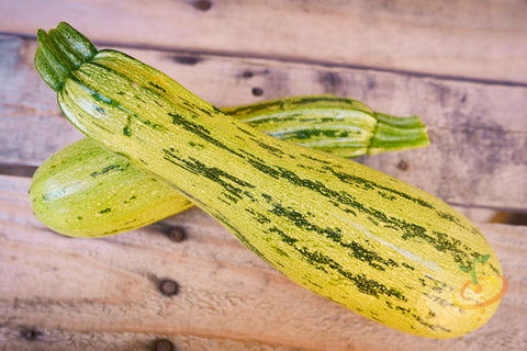 Squash (Summer) - Caserta seeds – SeedsNow.com