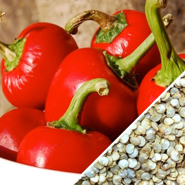 Pepper (Hot) - Cherry, Red 🔥🔥 seeds – SeedsNow.com