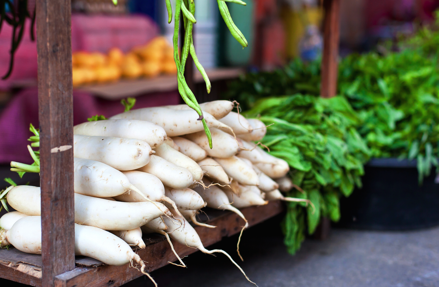 Radish - Japanese Minowase/Daikon "Big Root" – SeedsNow.com