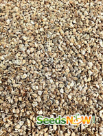 Tomato - Bonny Best (Indeterminate) – SeedsNow.com