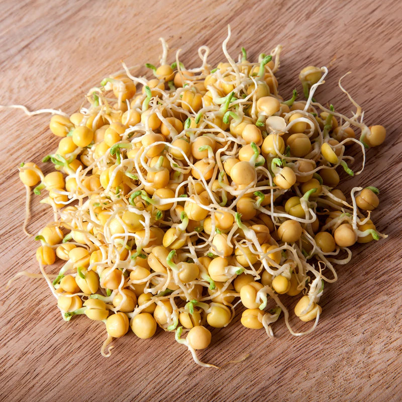 Shop All Sprouts & Micro-Greens! Buy Organic seeds and NON-GMO seeds ...