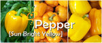 Pepper (Sweet) - Sunbright Yellow – SeedsNow.com