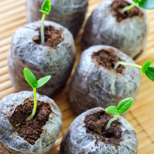 🌱Seed Planting & Spacing | Grow Guides | How-to | Organic Gardening ...