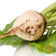 Beet - Detroit (White) seeds – SeedsNow.com
