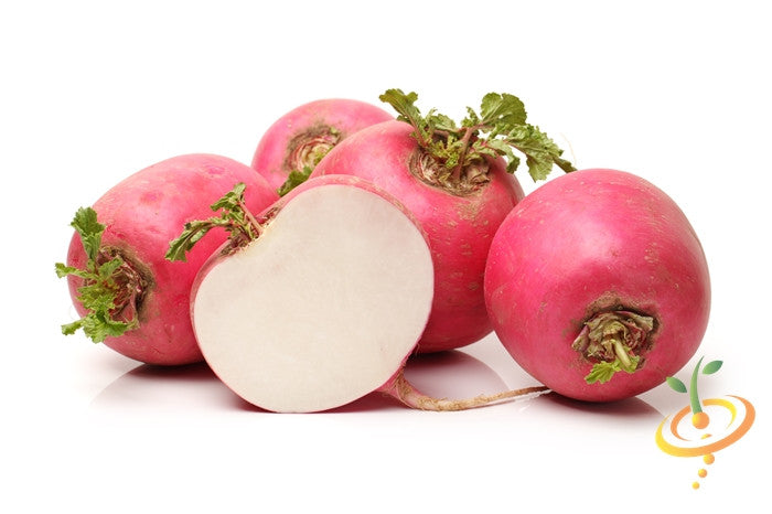 Radish - Beauty, Pink – SeedsNow.com