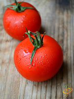 Tomato - Atkinson (Indeterminate) seeds – SeedsNow.com
